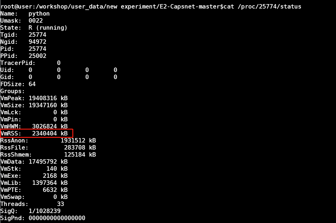查找LInux进程所占用的物理内存以及显存_linux查看显存占用-CSDN博客