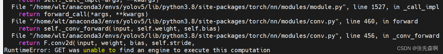 RuntimeError: GET was unable to find an engine to execute this computation问题原因及解决办法-CSDN博客