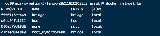 使用docker Compose一键部署wordpress Mysql环境 Docker部署wordpress 本地mysql Csdn博客