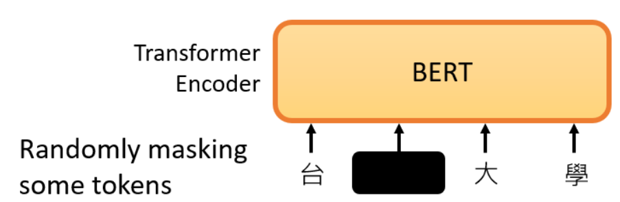 【李宏毅深度学习CP18-19】自监督学习之BERT_bert-scratch-CSDN博客