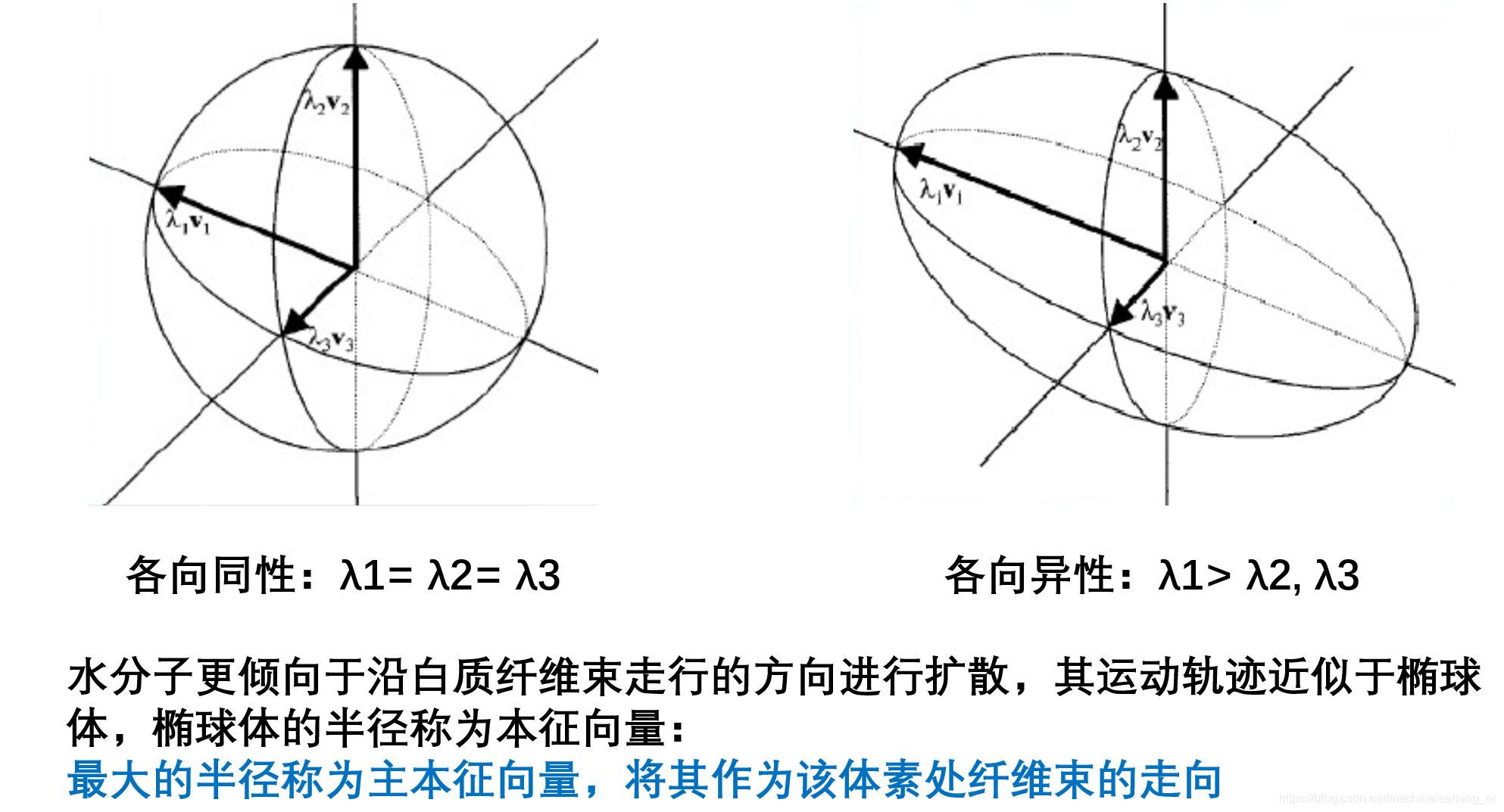 Diffusion MRI的纤维重建算法解析--DTI，ball-and-sticks model，CSD，DSI，QBI，GQI ...