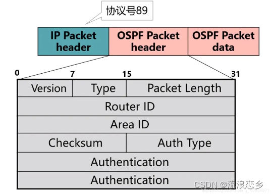 OSPF基础学习-实验报告_ospf实验报告-CSDN博客