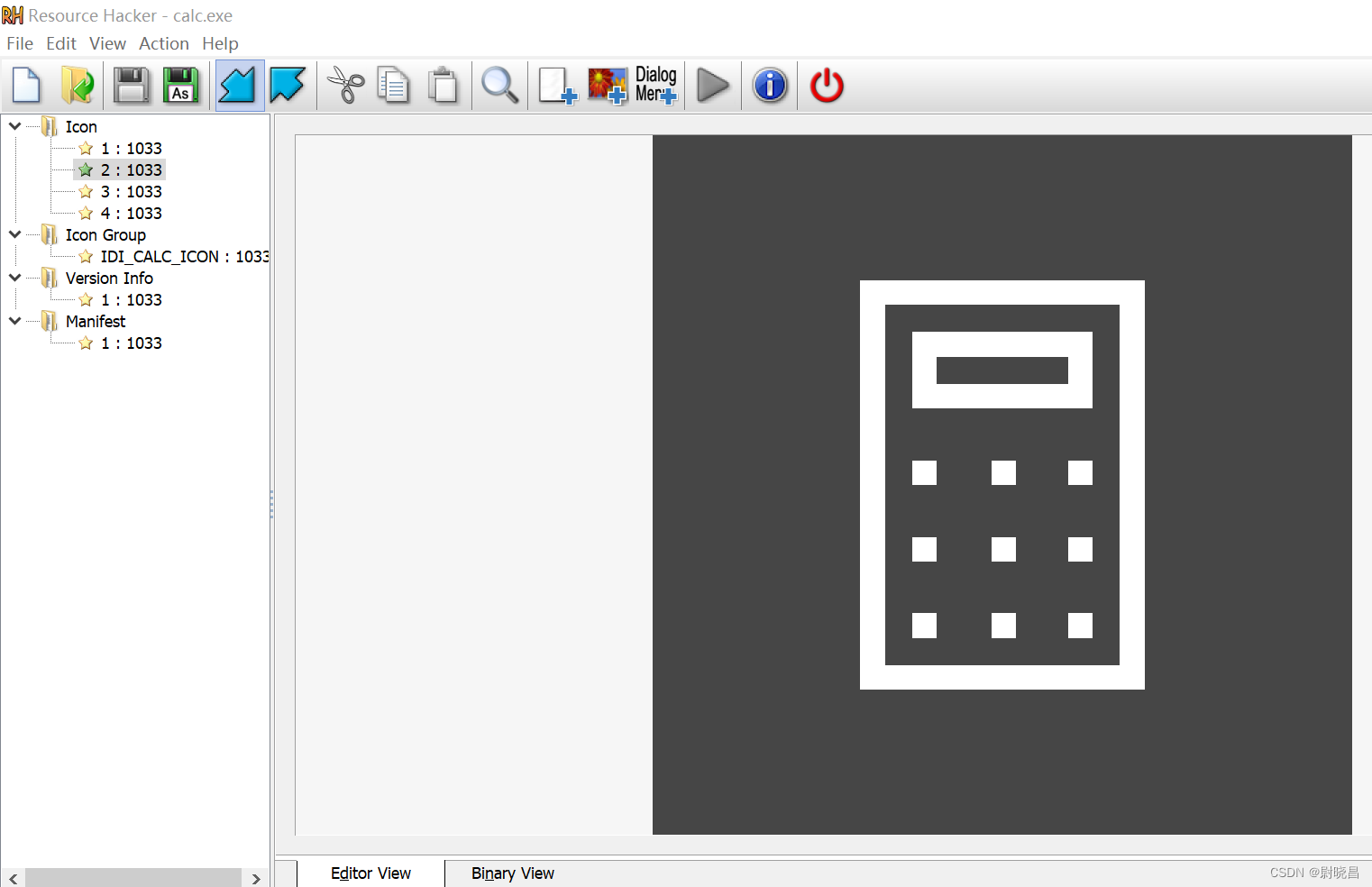 chapter1 静态分析技术-09资源节查看 resource hacker_resource hacker 控制位置-CSDN博客
