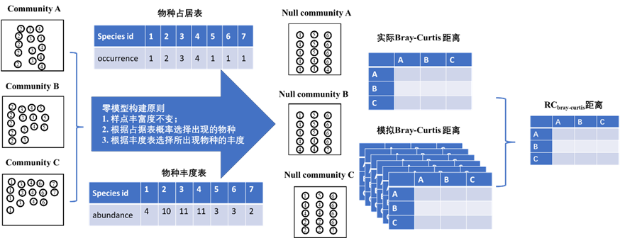 R语言并行计算RC~bray-curtis~距离_rc距离计算群落的确定性和随机性-CSDN博客