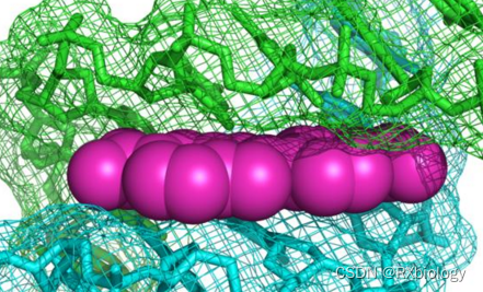 荧光Deferoxamine-PEG-BODIPY，Deferoxamine-PEG-BODIPY R6G，去铁胺标记氟化硼二吡咯_4,4 ...