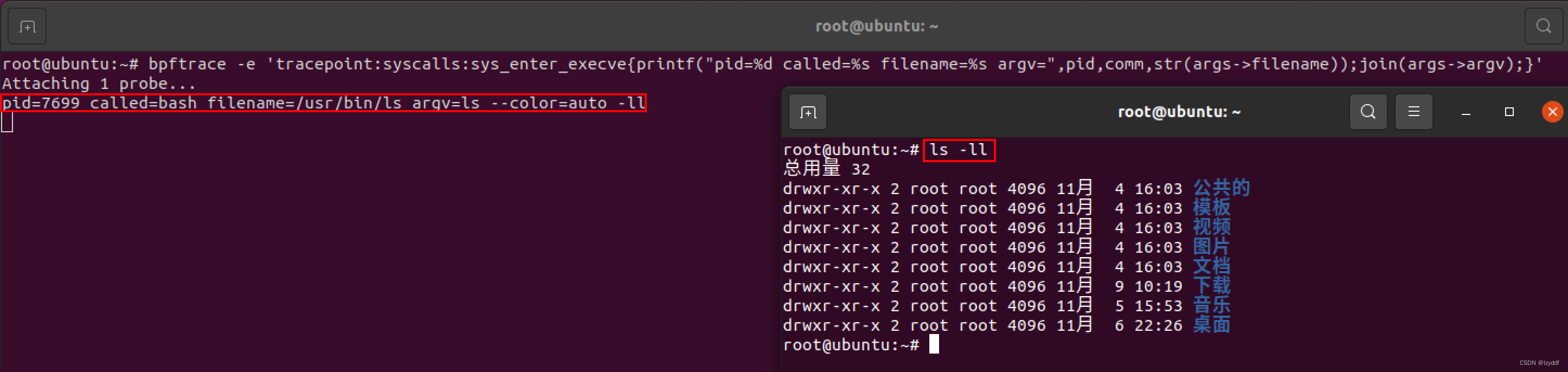 eBPF学习笔记（二）—— eBPF开发工具_python ebpf-CSDN博客