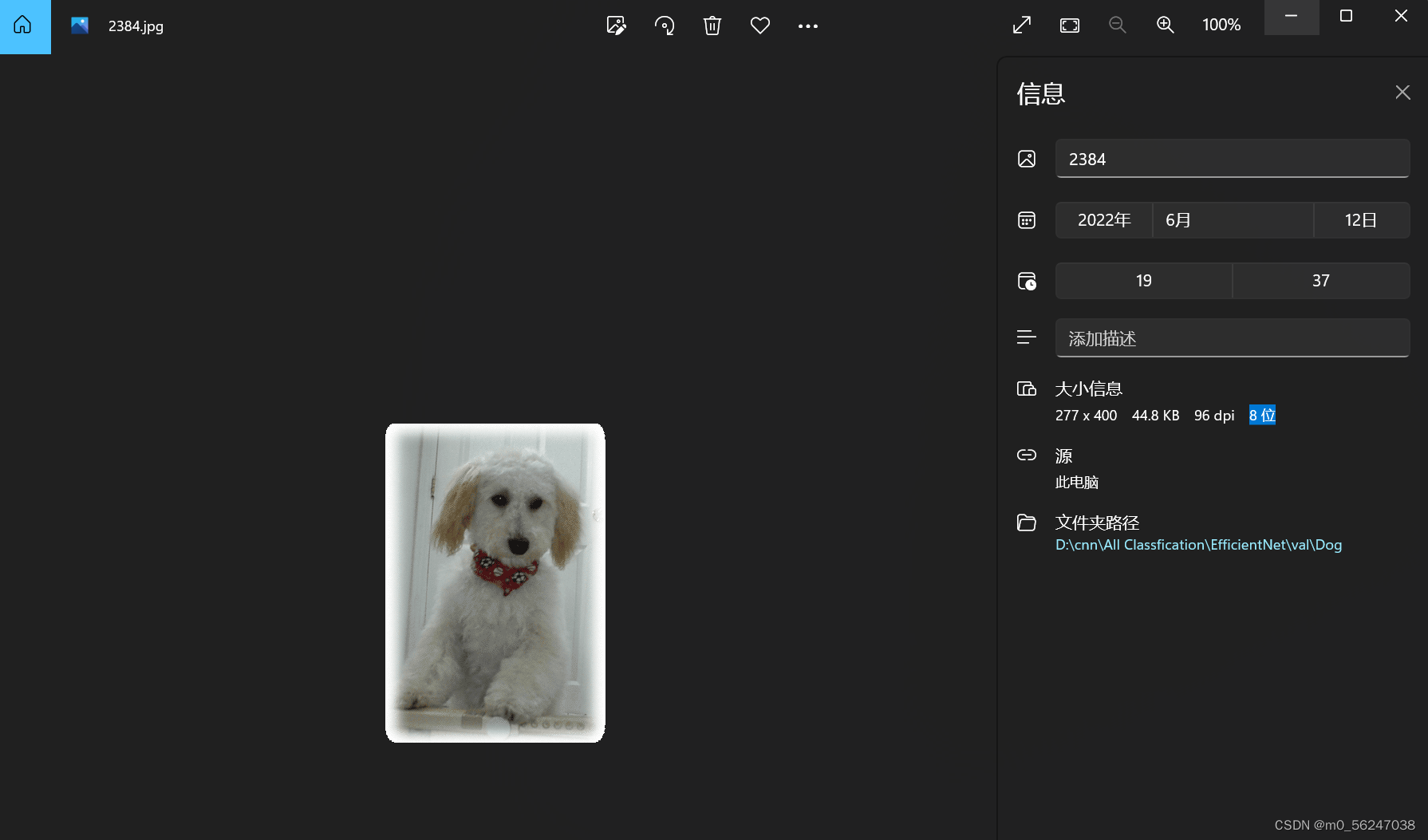 EfficientNet网络结构详解-物联沃-IOTWORD物联网