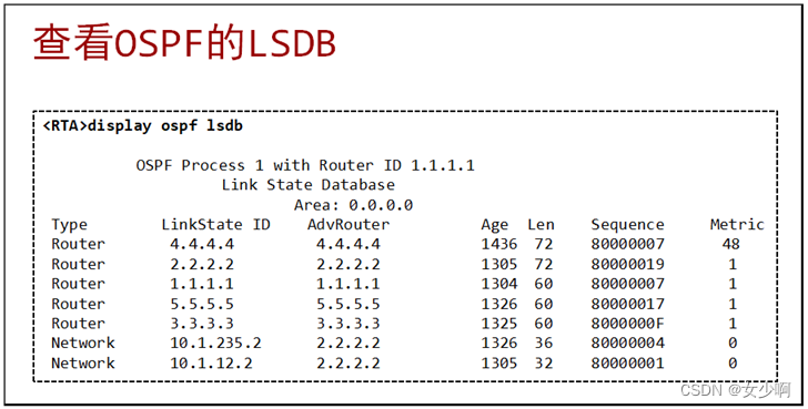 全站最详细的OSPF介绍-CSDN博客