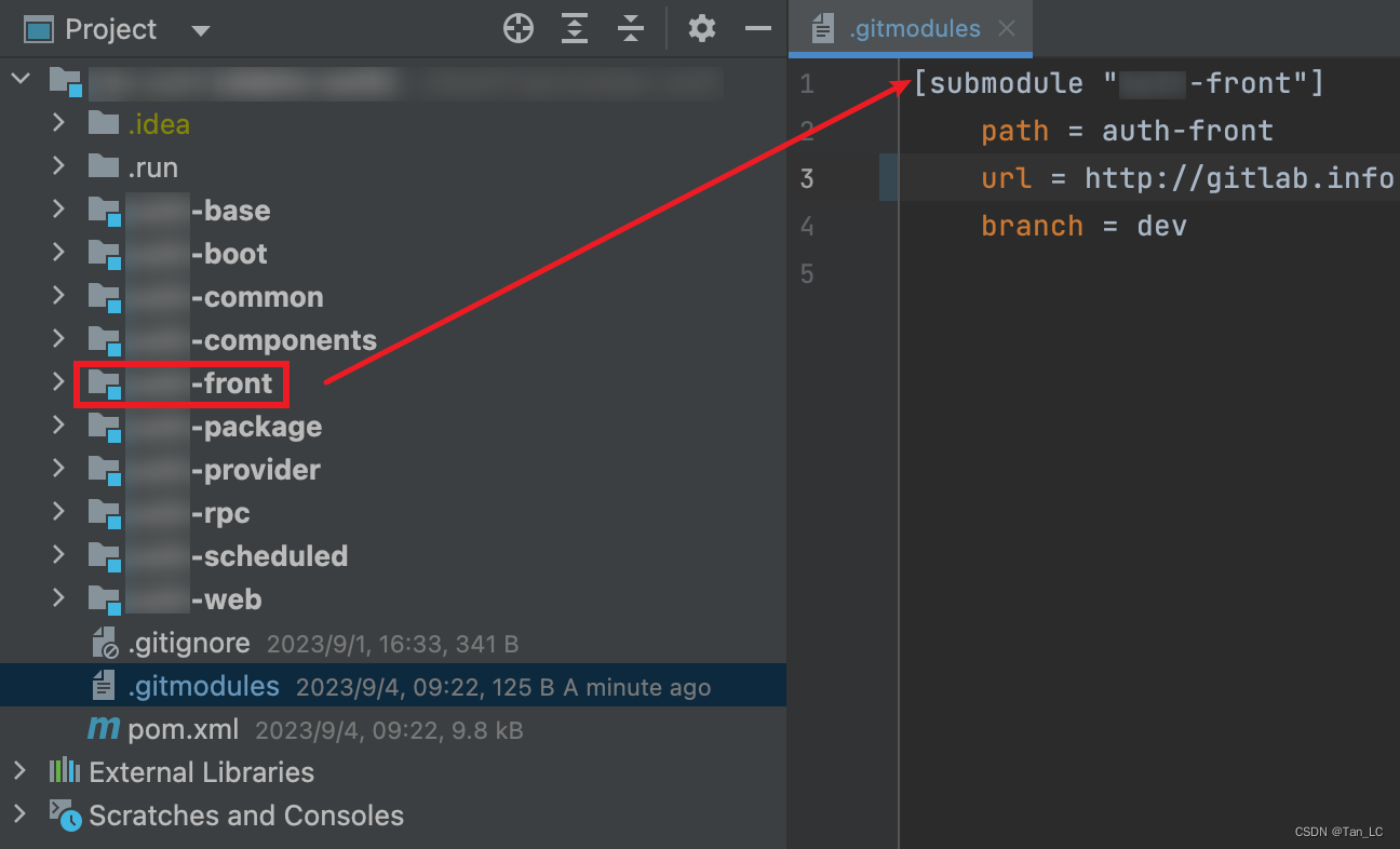 Git拉取子模块代码_git子模块拉取-CSDN博客