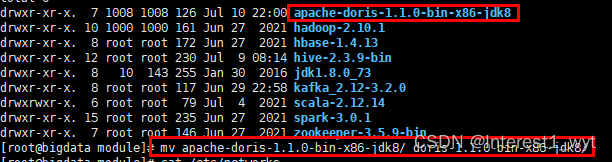 doris（一）单节点部署_doris单机部署-CSDN博客