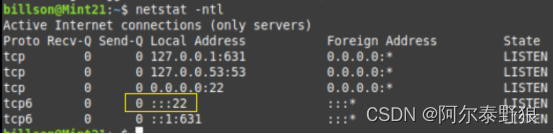 黑帽python第二版（black Hat Python 2nd Edition）读书笔记 之 第二章 网络工程基础（3）ssh与ssh隧道阿尔泰野狼的博客 Csdn博客