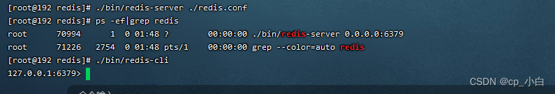 Linux系统安装Redis_linux安装redis-CSDN博客