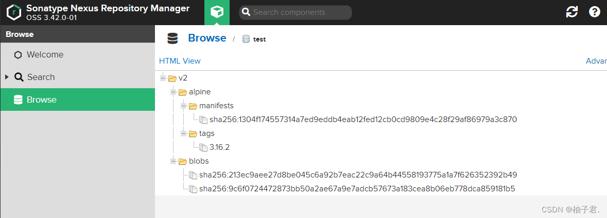 使用Nexus3搭建内网Docker私仓_nexus docker私有仓库-CSDN博客