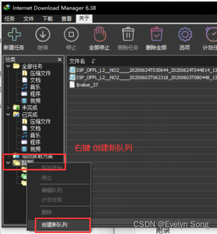 IDM+Python批量自动化下载哨兵5号数据_python idm库-CSDN博客