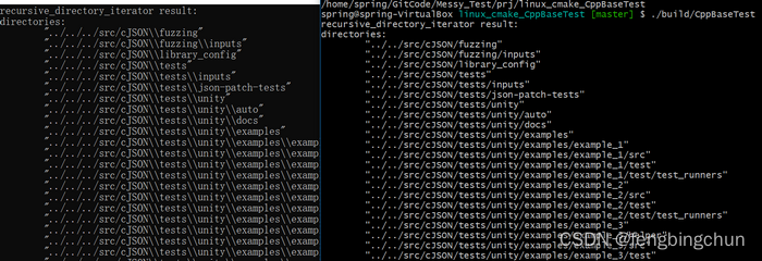 C 17中std Filesystem Directory Iterator和std Filesystem Recursive