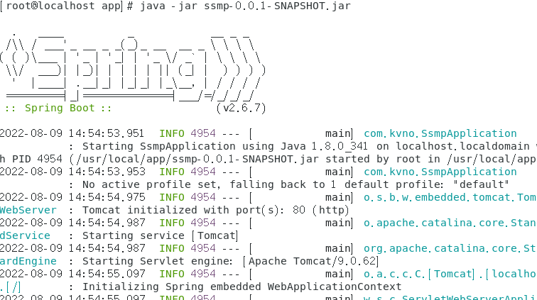 Springboot 工程打包并运行springboot打包运行 Csdn博客 8059