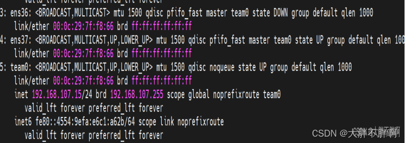 team网络链路聚合_链路聚合team-CSDN博客