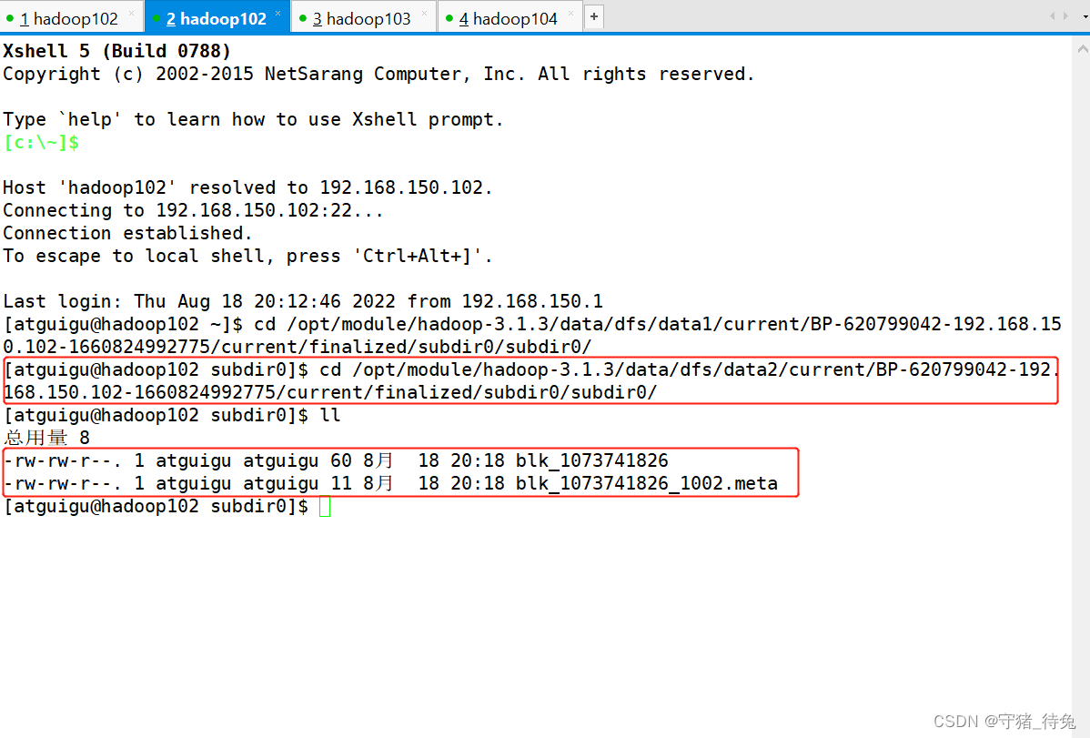 DateNode多目录配置_dfs.datanode.data.dir_守猪_待兔的博客-CSDN博客