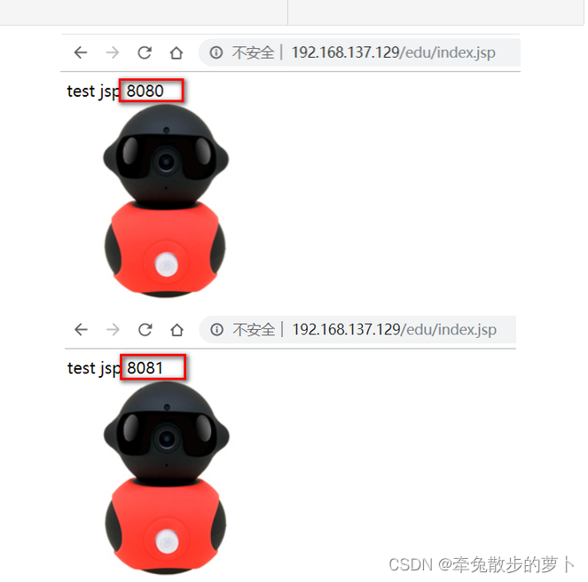 六、 Nginx配置实例 动静分离nginx 动态路径 Csdn博客