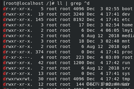 linux小白入门基础命令（一）_linux ll 过滤-CSDN博客