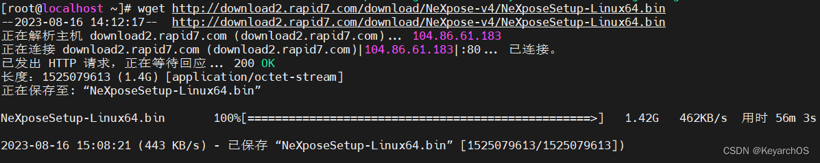 漏洞扫描工具nexpose安装及使用(KOS)-CSDN博客