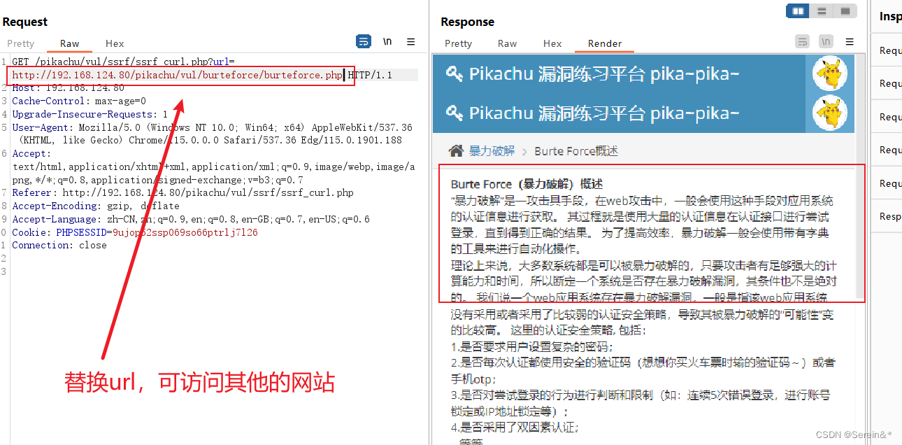SSRF漏洞-CSDN博客