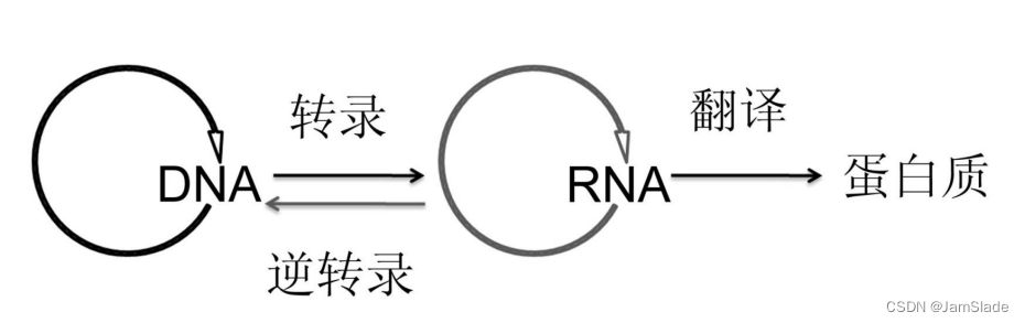 生物信息学笔记03 -- 基因组序列分析 方法_基因序列分析-CSDN博客