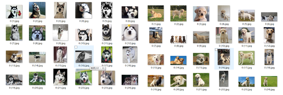 MindSpore图像分类训练resnet50实现_mindspore vision resnet-CSDN博客