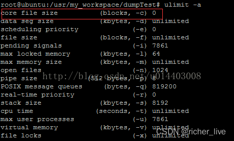 linux 生成 dump文件_linux dump-CSDN博客