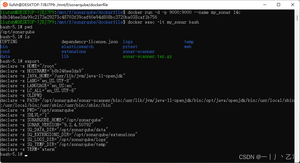 Dockerfile构建sonarqube镜像，并推送到docker hub仓库和本地镜像仓库_sonar镜像仓库_一丨丿丶7的博客-CSDN博客