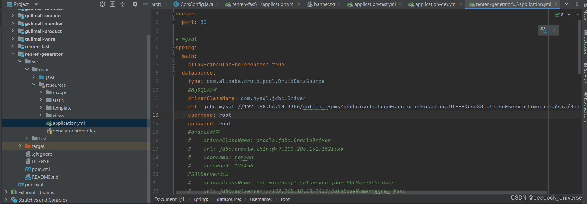 使用renren-generator创建逆向工程，生成基本的CRUD代码_renren generator-CSDN博客