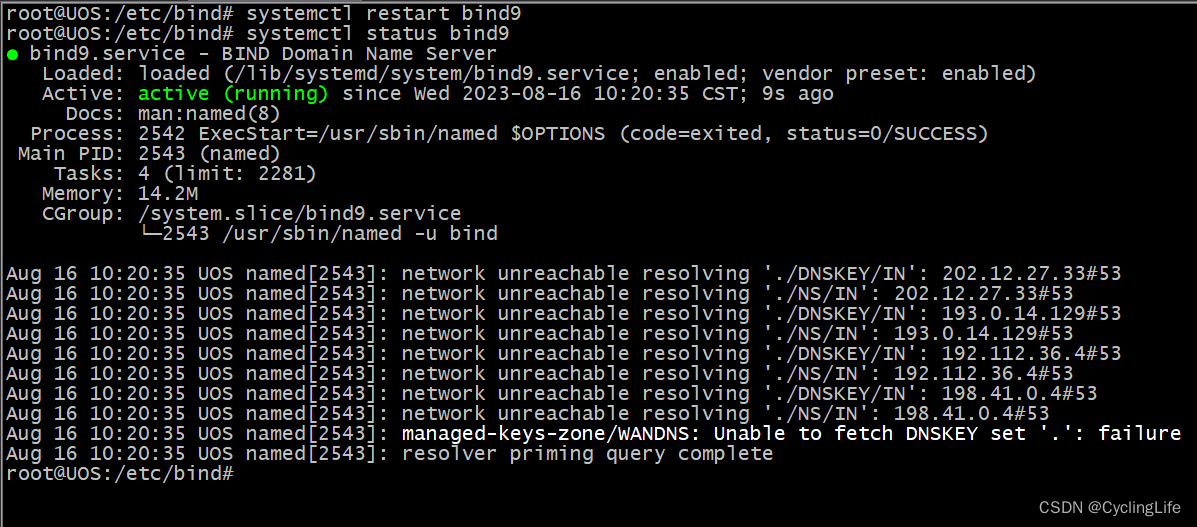 【Linux】CentOS+UOS的Bind9内外网解析配置_bind9配置-CSDN博客