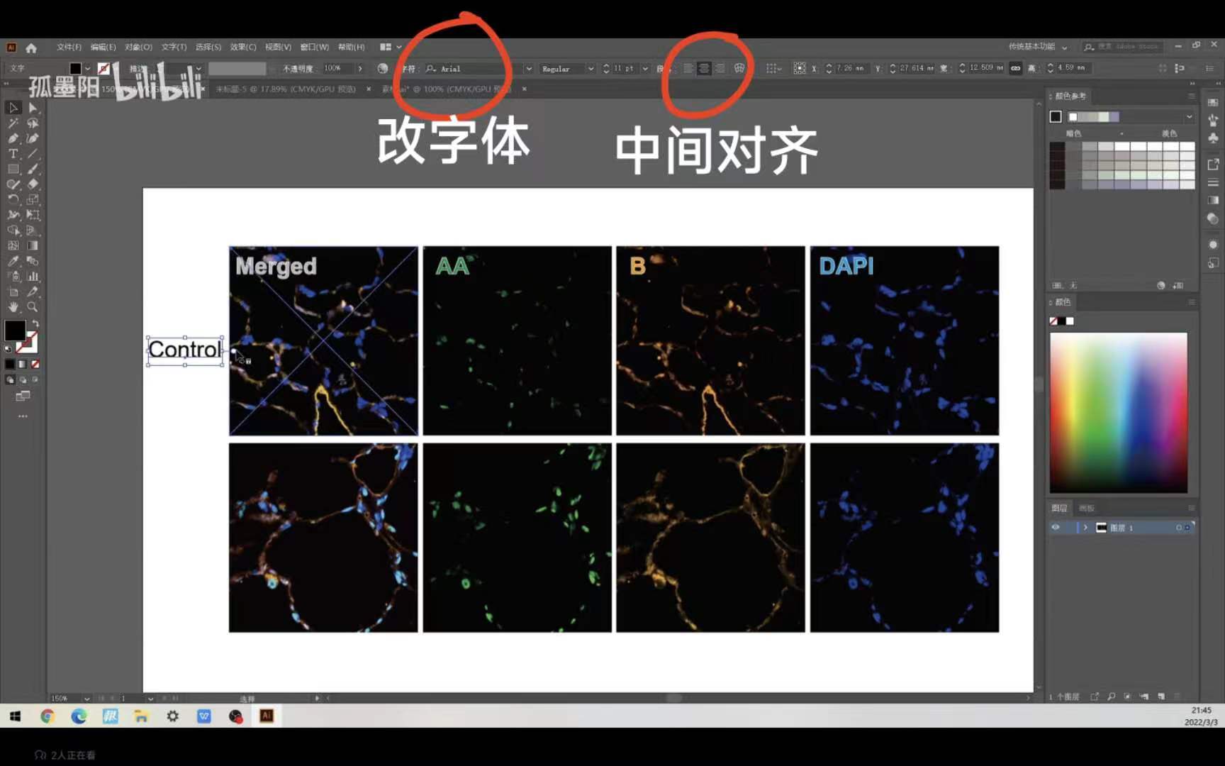 Adobe Illustrator（AI）常用文字 + 同一排有两个图应该置于一条直线上_adobe illustrator将两张图片竖着排列起来-CSDN博客