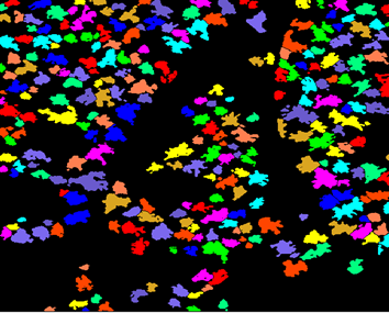 Halcon之Blob分析_halcon blob分析-CSDN博客