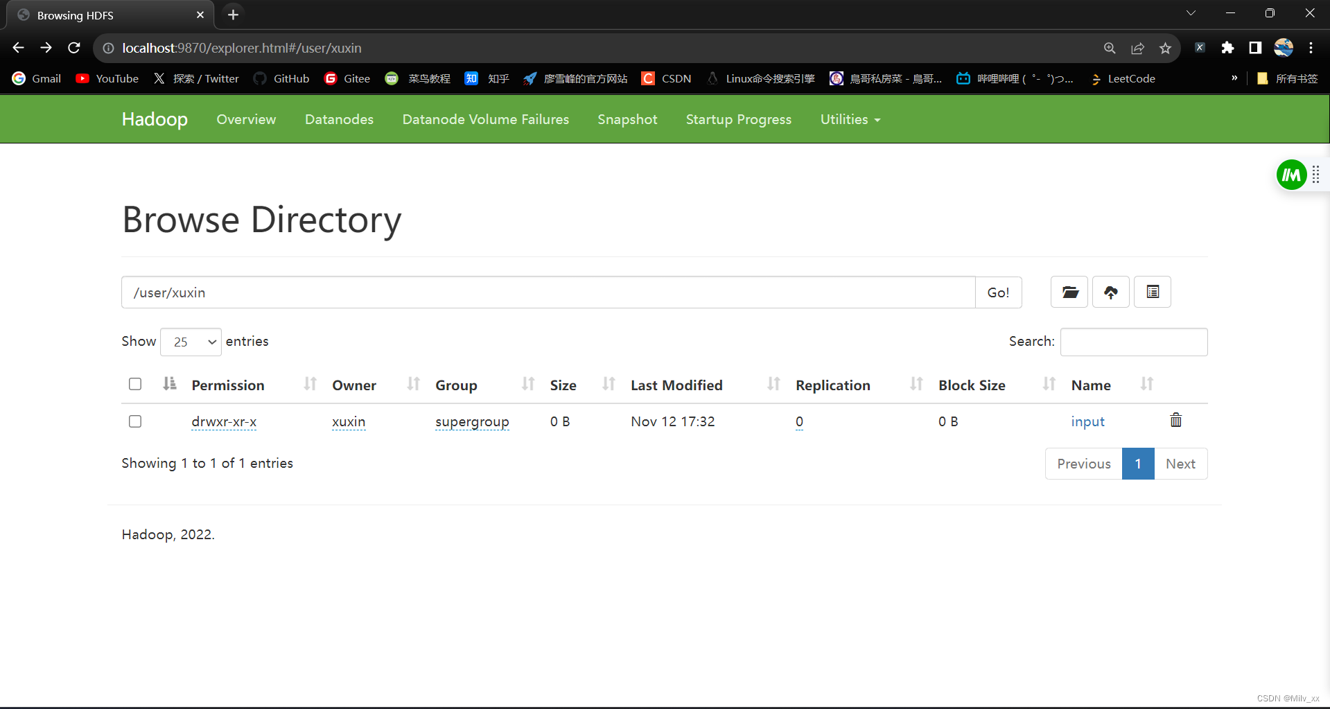 WSL + Vscode一站式搭建Hadoop伪分布式 + Spark环境_vscode hadoop 插件-CSDN博客