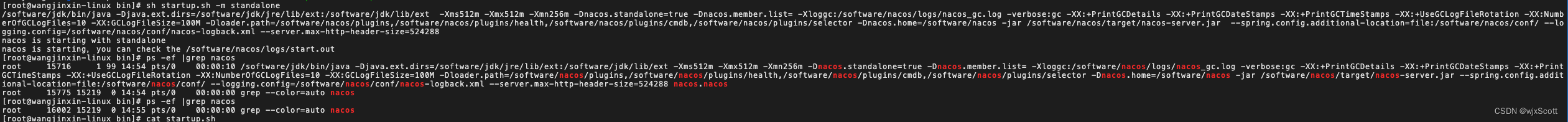 linux系统kill程序查询_kill nacos进程-CSDN博客