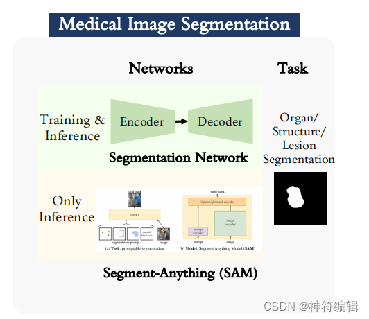 SAM在医学图像分割任务的精度分析（2023+Accuracy of Segment-Anything Model (SAM) inMedical Image Segmentation ...