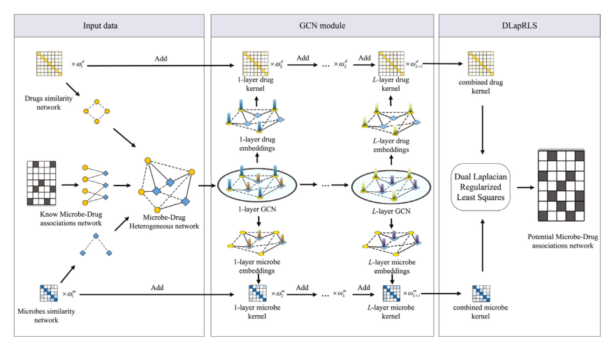 Inferring human microbe–drug associations via multiple kernel fusion on ...