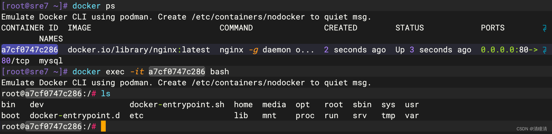 docker容器操作基础命令_docker --hostname-CSDN博客