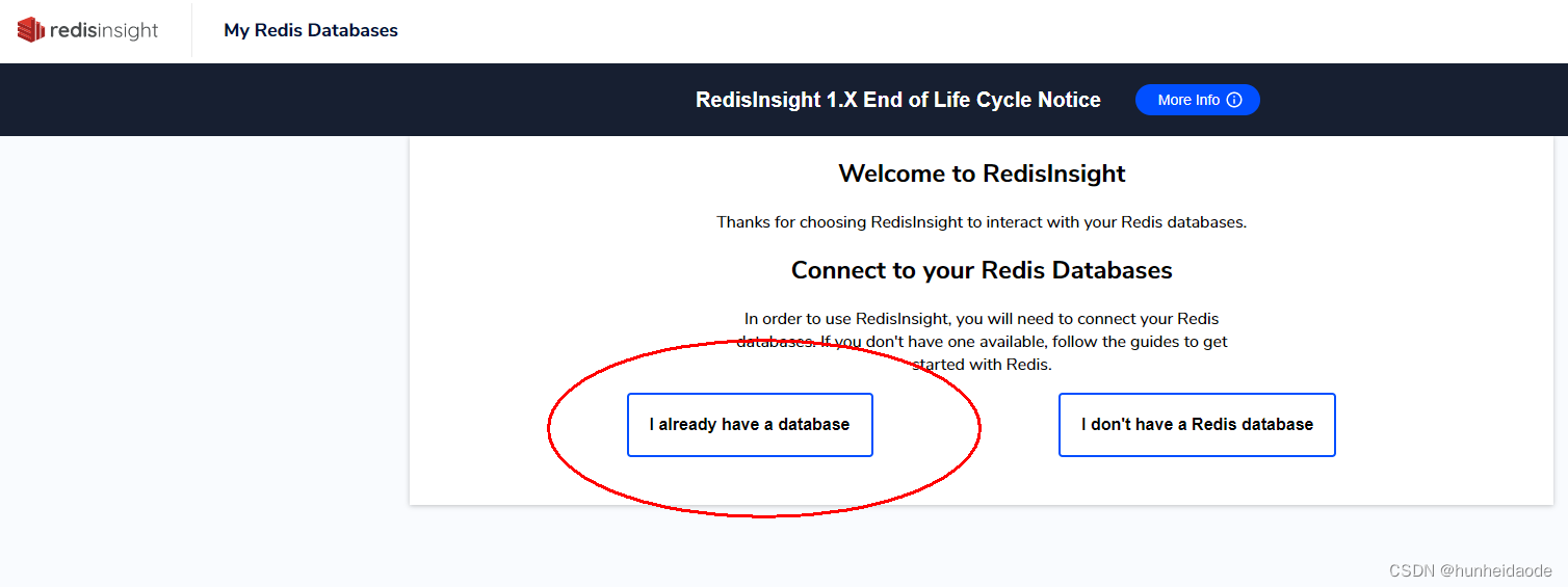 Docker安装redis 和 Redisinsight(可视化redis工具)docker Redisinsight Csdn博客