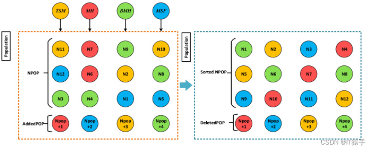单目标优化：山瞪羚优化算法（Mountain Gazelle Optimizer，MGO）求解CEC2017（提供Matlab代码）-CSDN博客