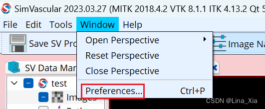 SimVascular：Failed to finish creating data files问题解决-CSDN博客