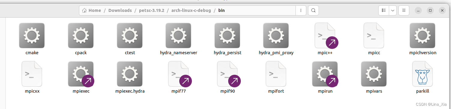 mpirun/mpiexec -n N 只有主进程输出的问题-CSDN博客