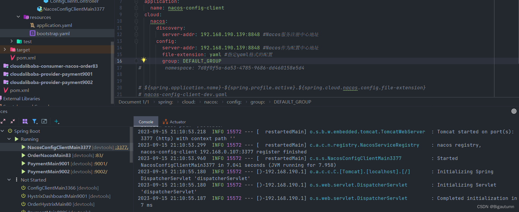 SpringCloud Alibaba Nacos使用bootstrap.yaml配置config报错_could not evaluate condition on com.alibaba ...