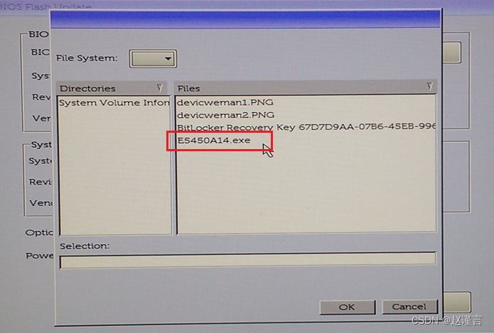 戴尔通过F12一次性引导菜单刷新BIOS_dell刷bios专用工具-CSDN博客