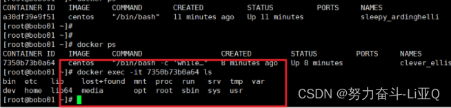 五、docker基础入门 Docker镜像文件 Csdn博客