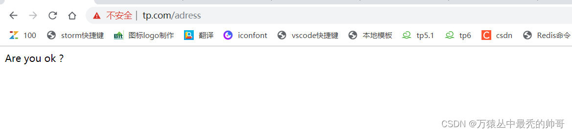 tp6多层控制器访问与路由配置_tp6 多级目录 路由-CSDN博客