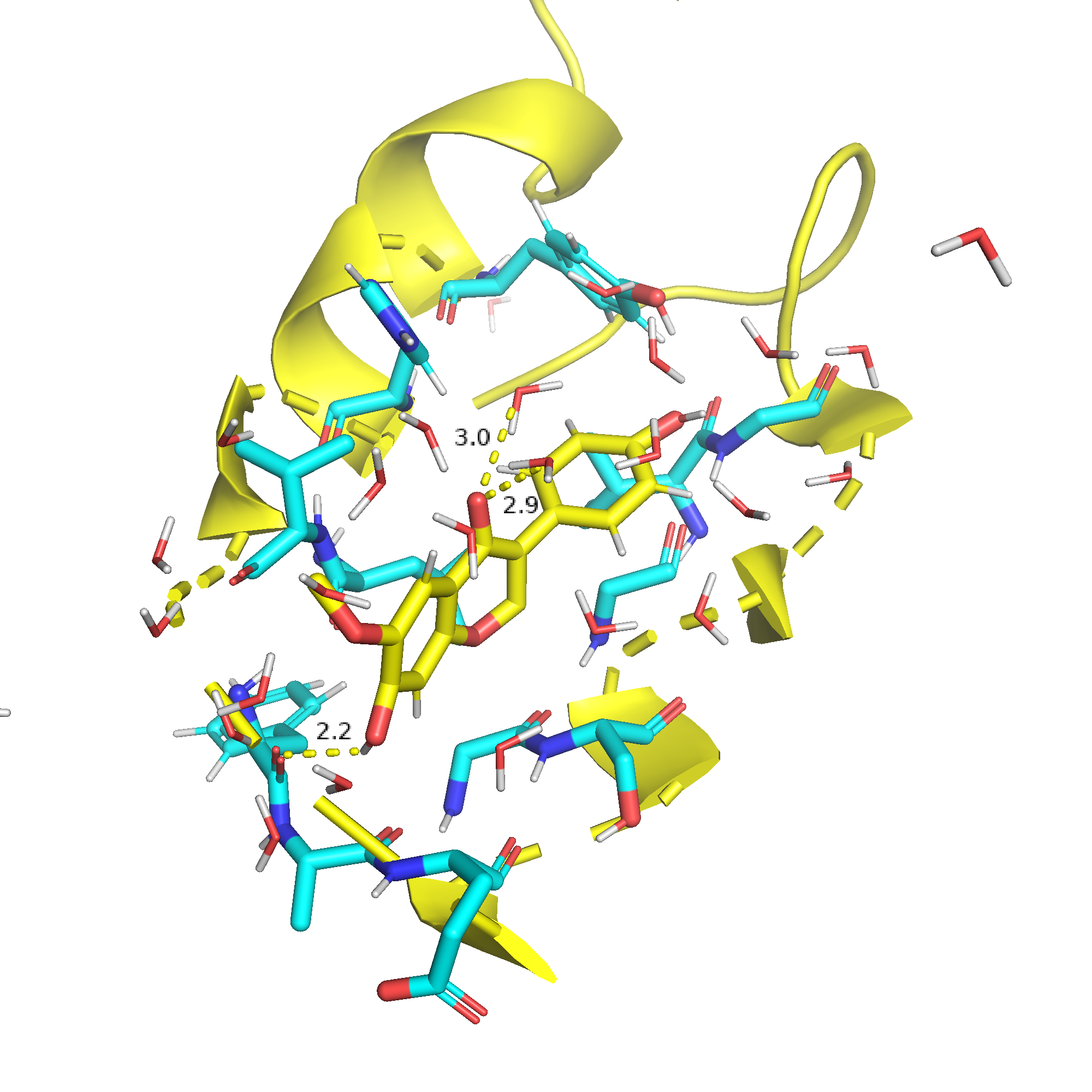 pymol作图-氢键_pymol显示氢键-CSDN博客
