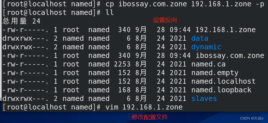 【Linux&Centos8】DNS服务器配置_centos8dns配置详解-CSDN博客