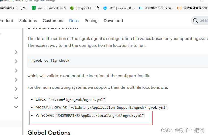 Ngrok 错误 Errngrok108，并且有时闪退authentication Failed Your Account Is 